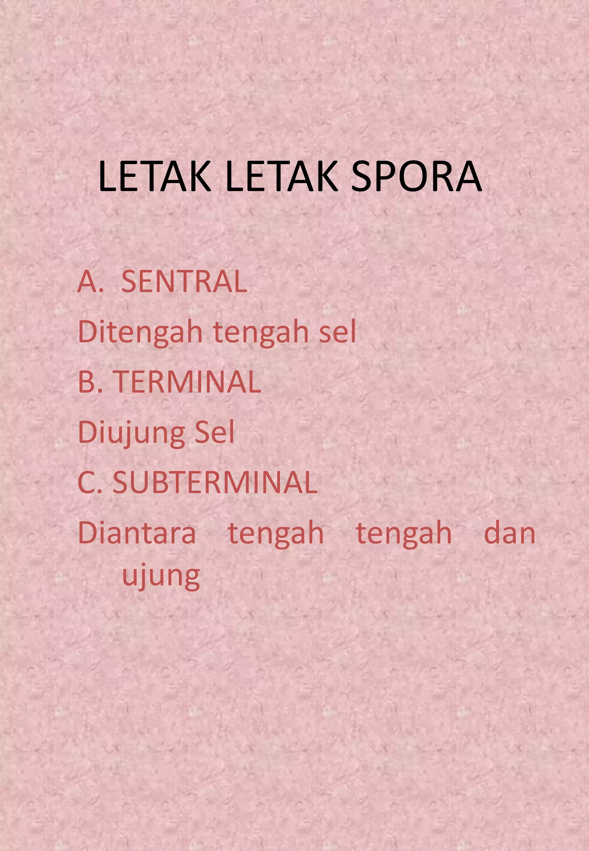 Pengecatan bakteri | PPTX