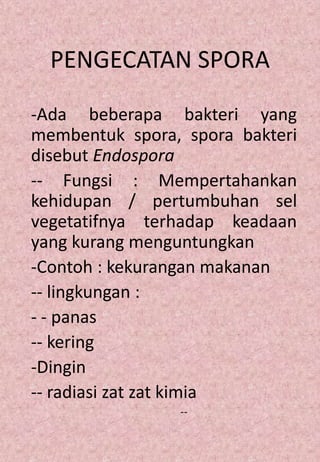 Pengecatan bakteri | PPTX