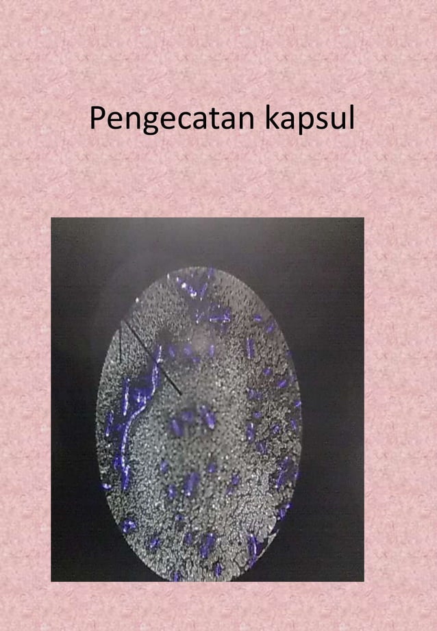 Pengecatan bakteri | PPTX