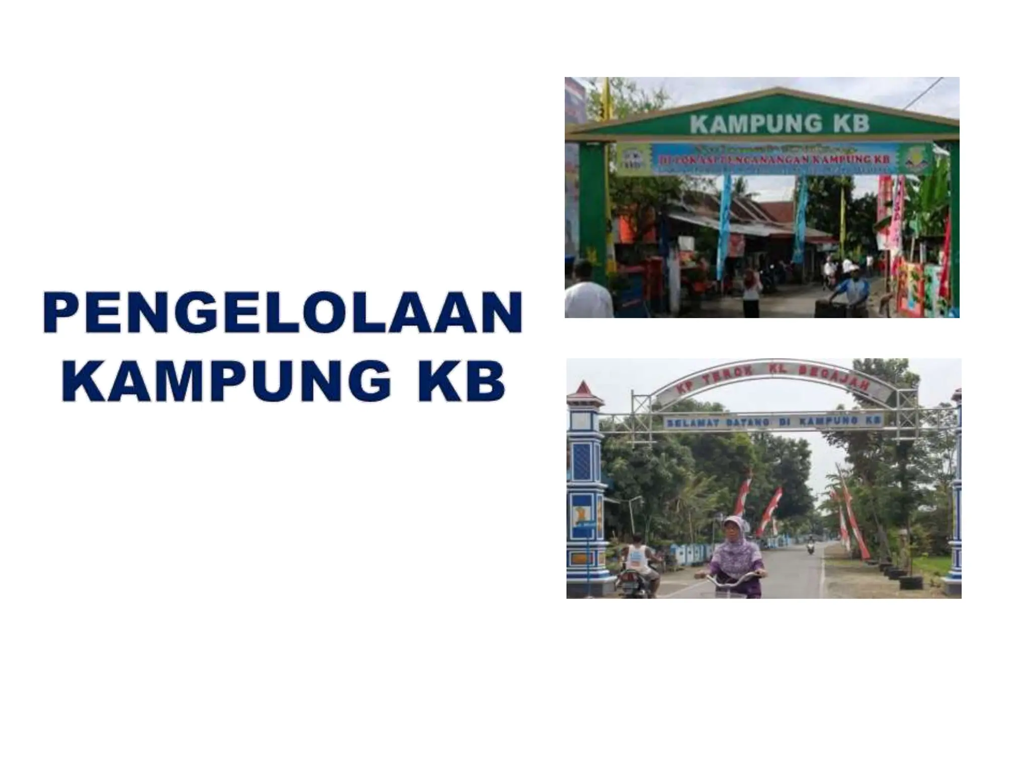 Pengelolaan-Kampung-KB modul keluarga -pptx.pptx