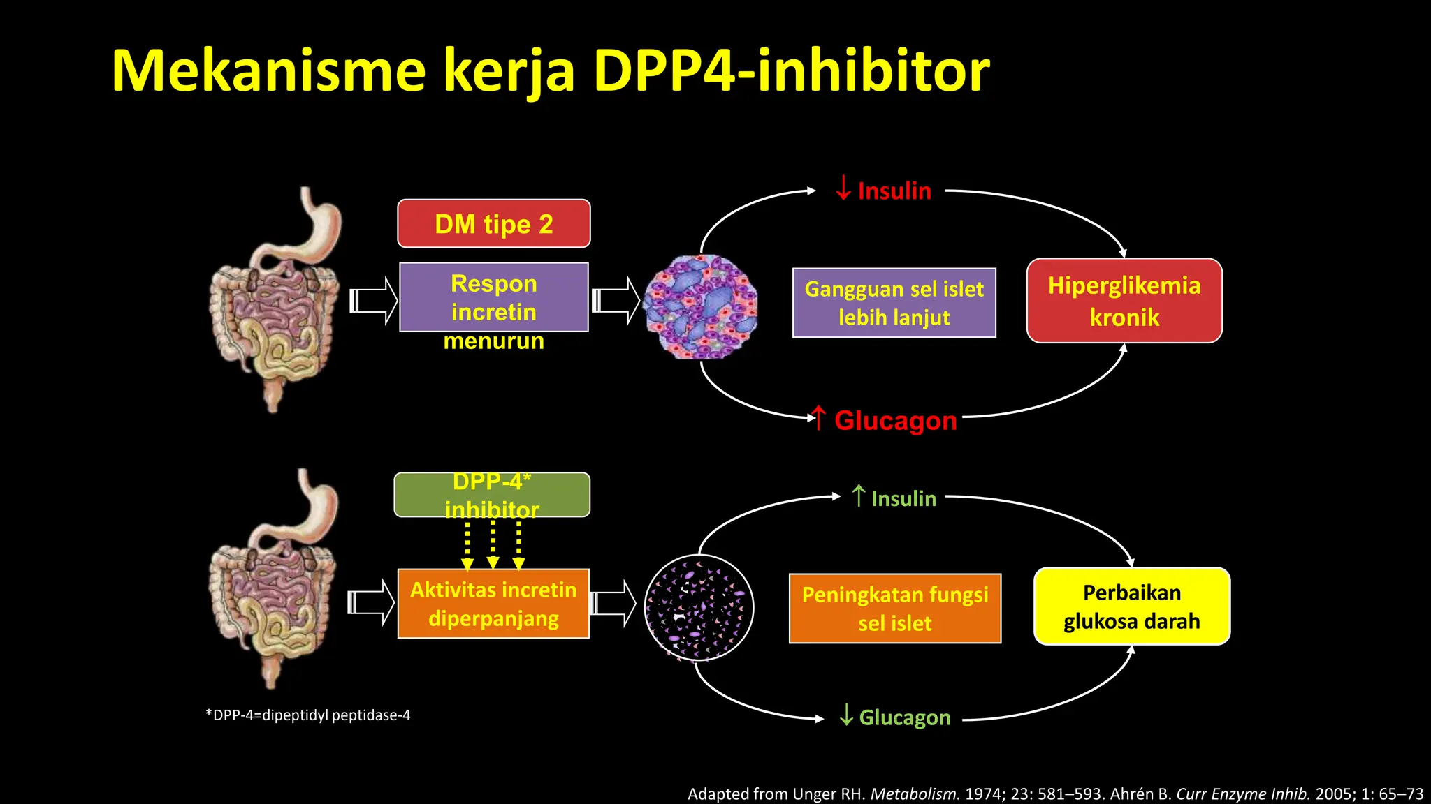 Pengelolaan DMT2 Secara Komprehensif FKTP Des 2023 Tania.pptx