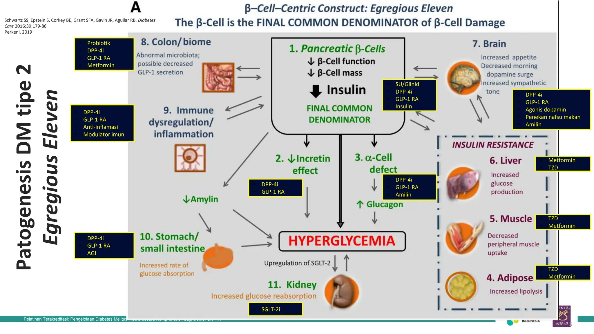 Pengelolaan DMT2 Secara Komprehensif FKTP Des 2023 Tania.pptx
