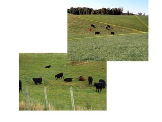 Pengelolaan padang gembala | PDF