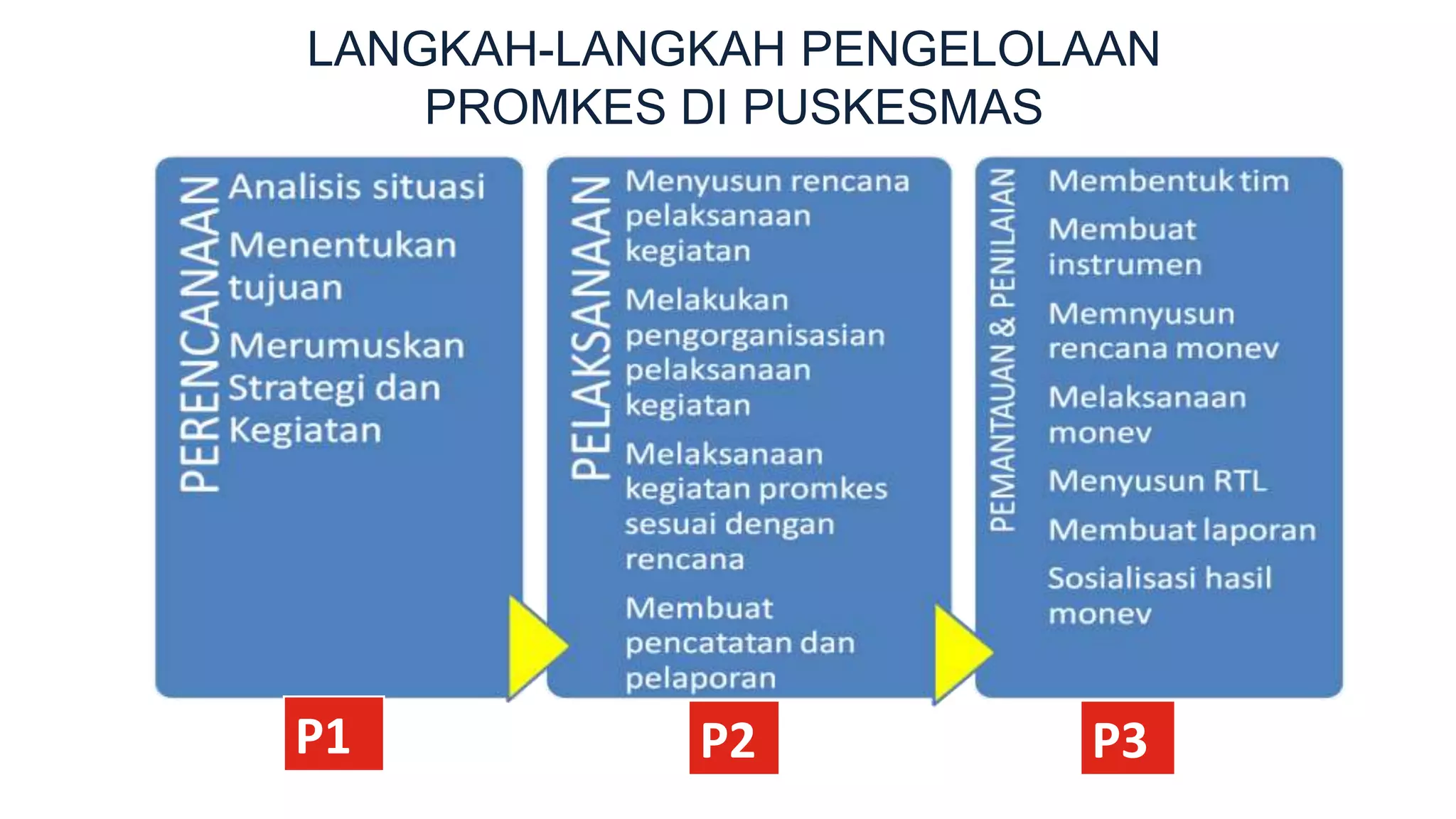 Pengelolaan Promkes Puskesmas NS | PPTX