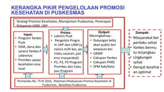Pengelolaan Promkes Puskesmas NS | PPTX