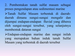 Pengelolaan tanah sulfat masam | PPTX