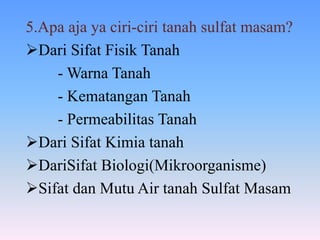 Pengelolaan tanah sulfat masam | PPTX