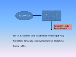 Pengelolaan tanah sulfat masam | PPTX