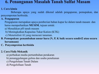 Pengelolaan tanah sulfat masam | PPTX