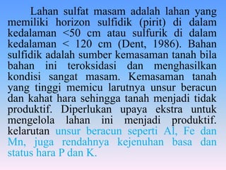 Pengelolaan tanah sulfat masam | PPTX