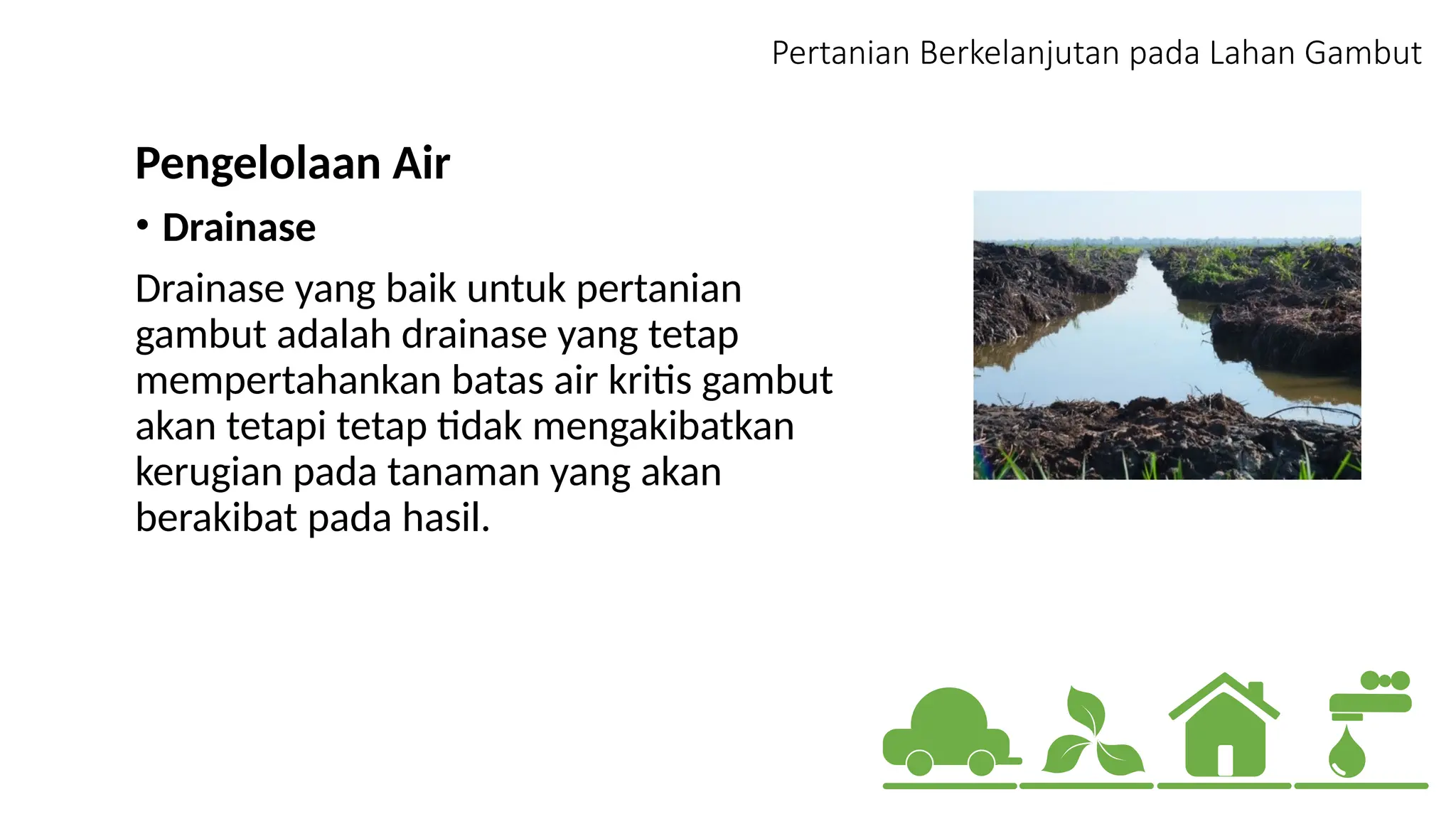 Pengelolahan Lahan Gambut Untuk Pertanian.pptx