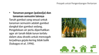 Pengelolahan Lahan Gambut Untuk Pertanian.pptx