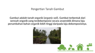 Pengelolahan Lahan Gambut Untuk Pertanian.pptx