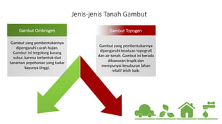 Pengelolahan Lahan Gambut Untuk Pertanian.pptx