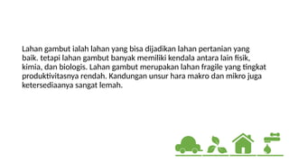 Pengelolahan Lahan Gambut Untuk Pertanian.pptx