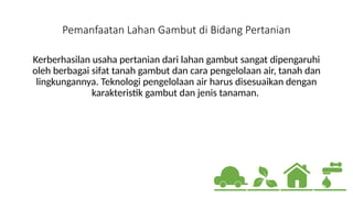 Pengelolahan Lahan Gambut Untuk Pertanian.pptx