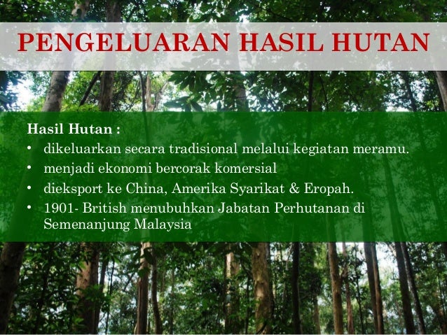 Pengeluaran hasil hutan