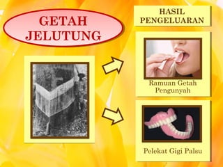Pengeluaran hasil hutan baru | PPT