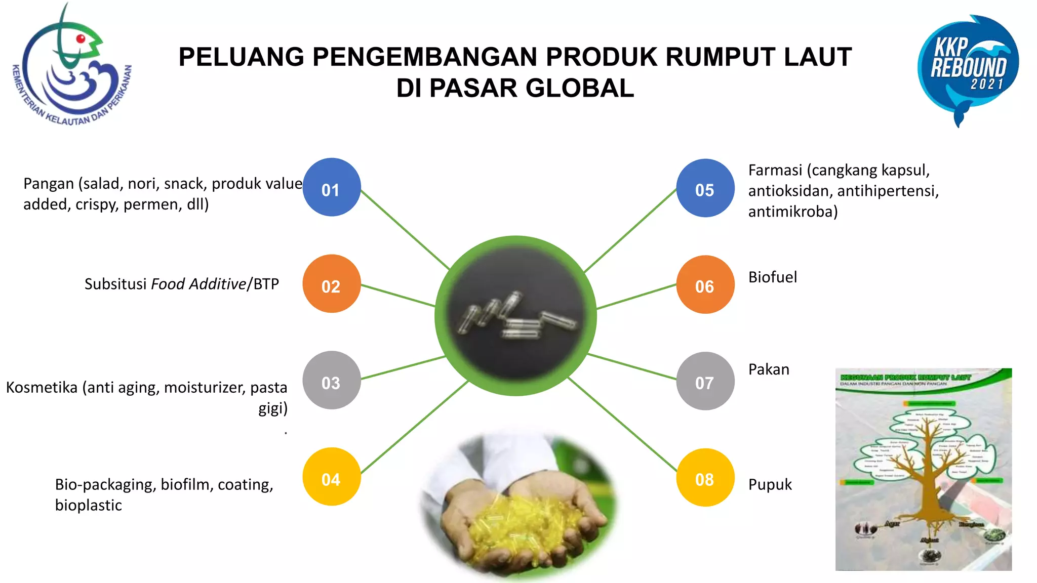 Pengembangan Industri Rumput Laut 2021 Direktur PBM.pptx