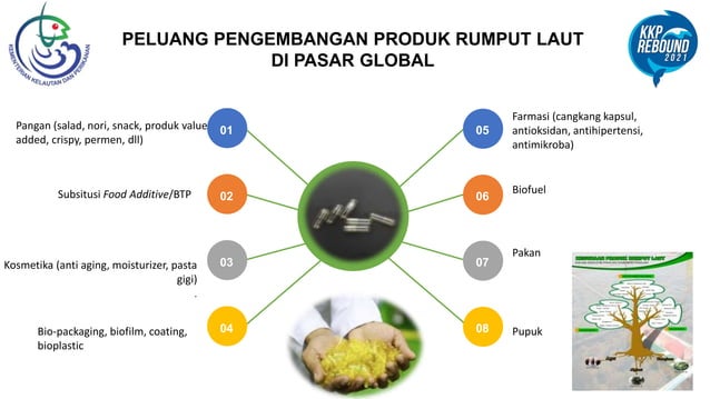 Pengembangan Industri Rumput Laut 2021 Direktur PBM.pptx