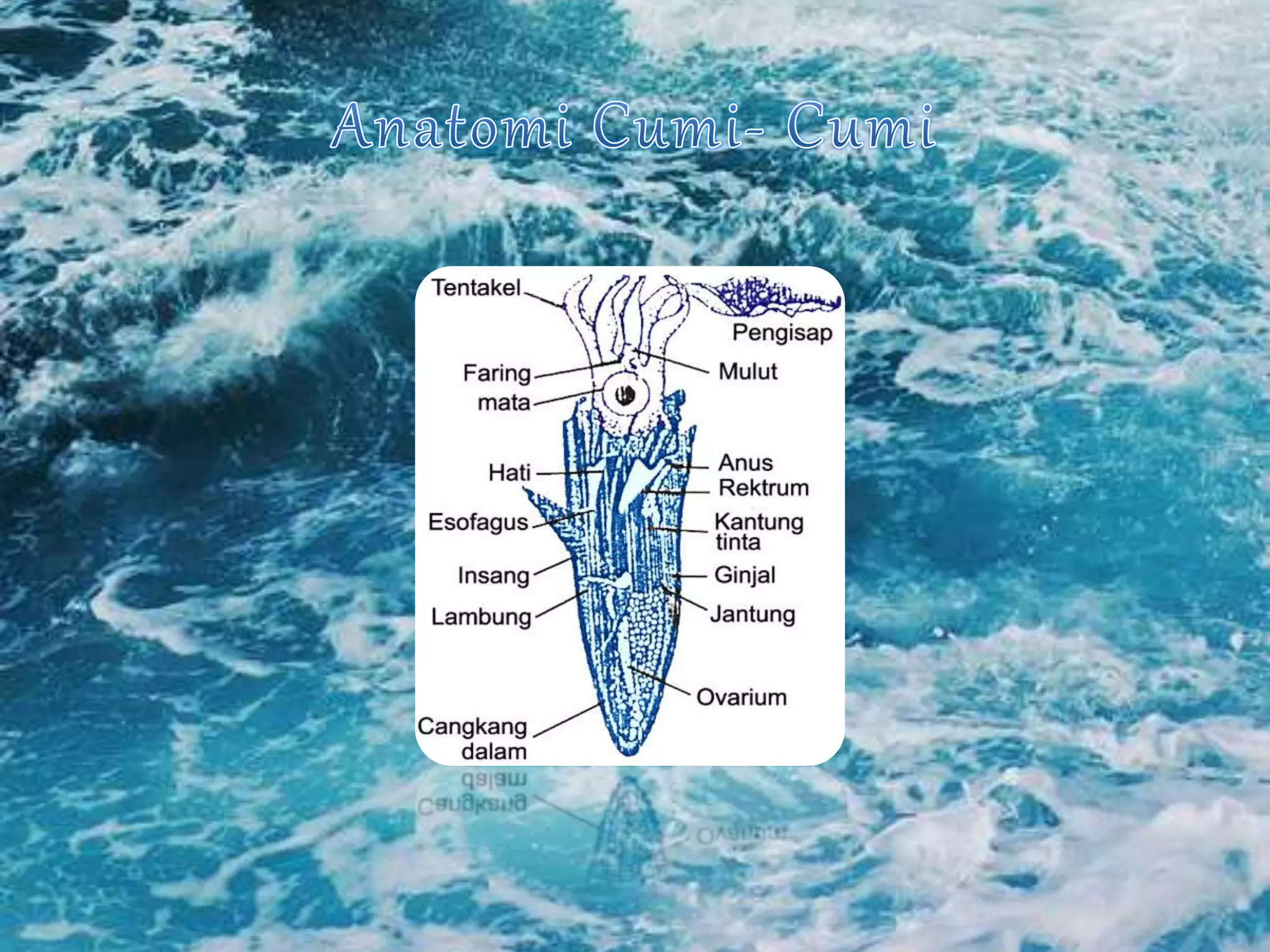 Pengembangan pengelolahan hasil laut di indonesia copy | PPTX