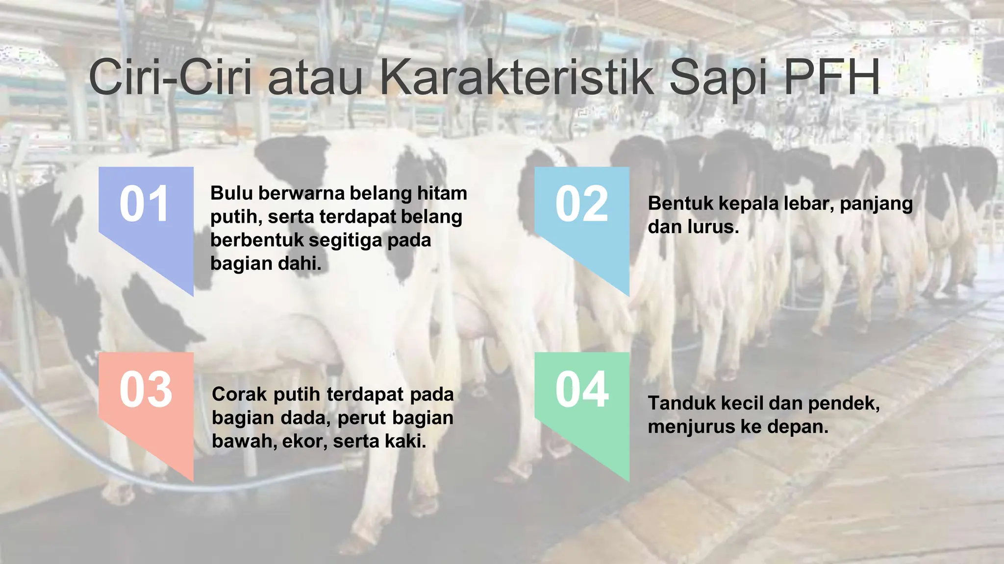 PENGEMBANGAN PFH DI WILAYAH GRATIII.pptx