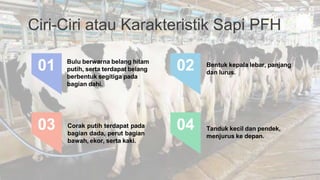 PENGEMBANGAN PFH DI WILAYAH GRATIII.pptx