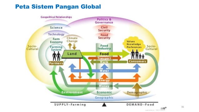 Pengembangan Rantai Nilai (Value Chain Development) | PDF