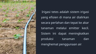 Pengenalan-Irigasi-Tetes endang purnama dewi .pptx