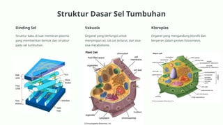 Pengenalan-Sel-Hewan-dan-Tumbuhan.tahun 2025 | PPTX