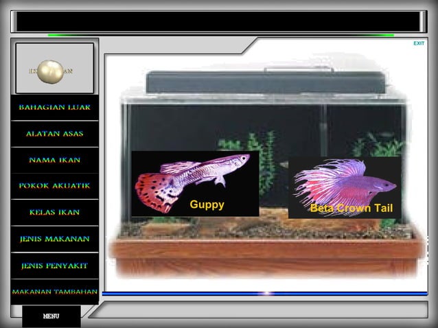 Pengenalan 1. Mengenal dan Melabel bahagian luar ikan 2. menyenarai ...