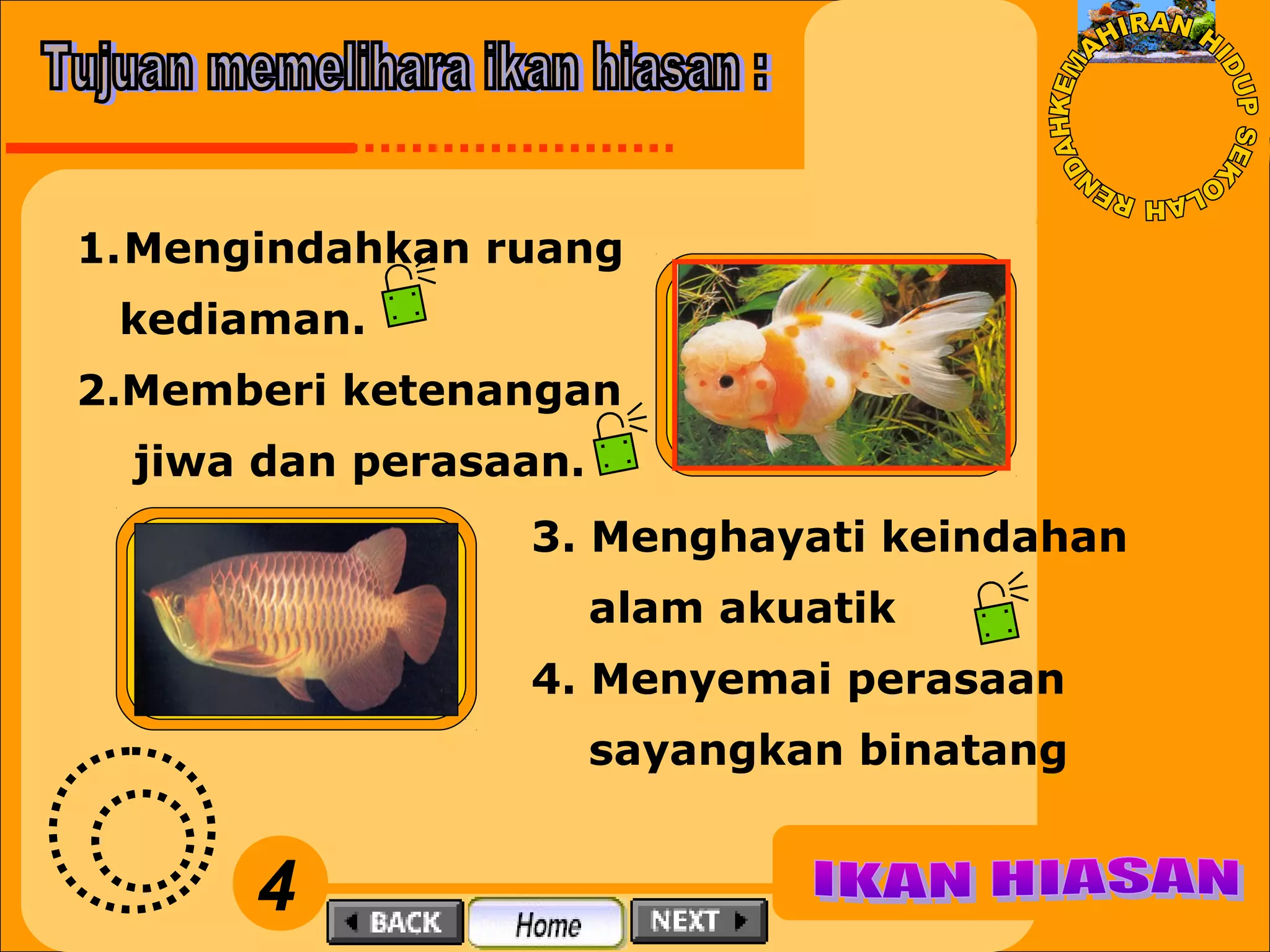 Pengenalan 3. sebab dan tujuan memelihara ikan 4. ciri istimewa ikan ...