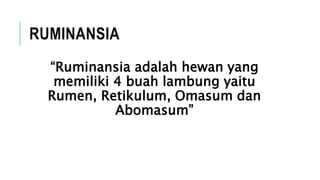 Pengenalan Agribisnis Ternak Ruminansia 1.pptx