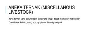 Pengenalan Agribisnis Ternak Ruminansia 1.pptx