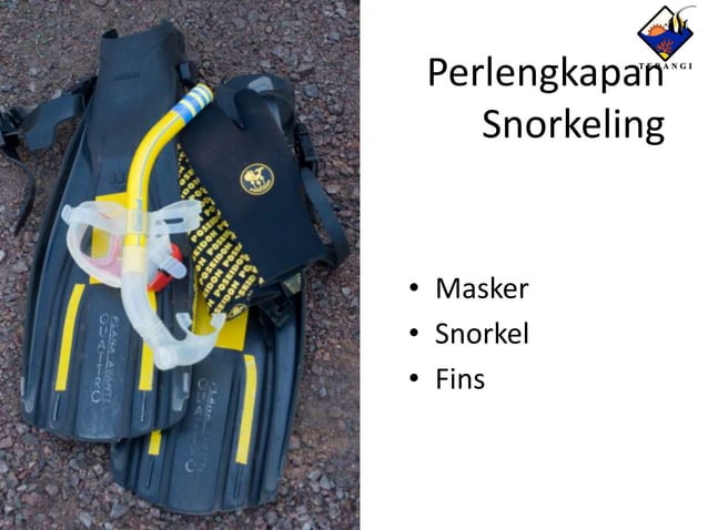 Pengenalan alat dasar selam | PPTX