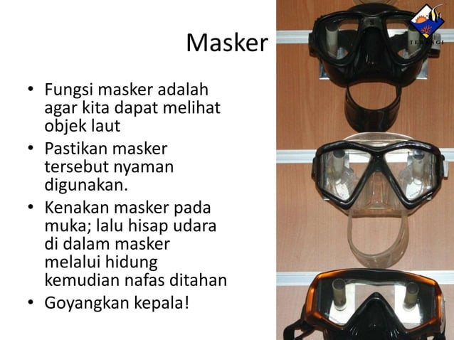 Pengenalan alat dasar selam | PPTX