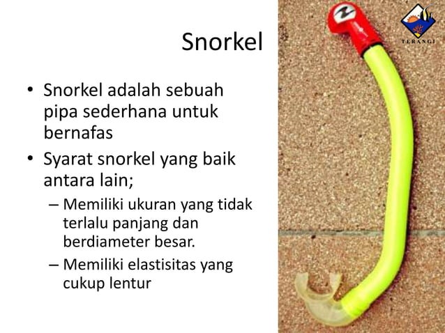 Pengenalan alat dasar selam | PPTX