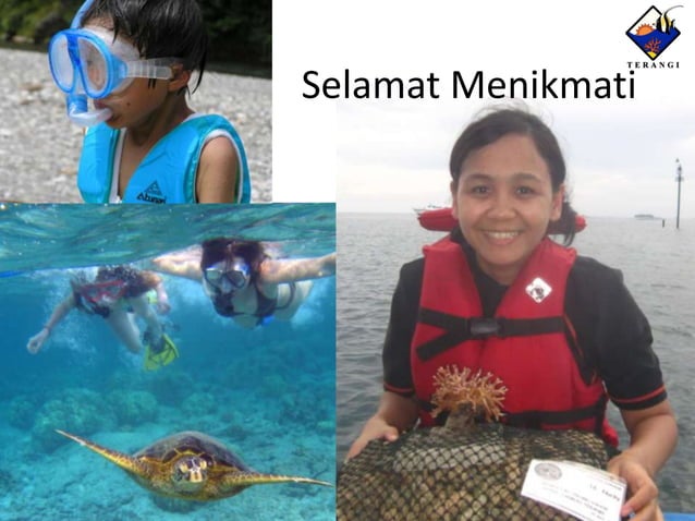 Pengenalan alat dasar selam | PPTX