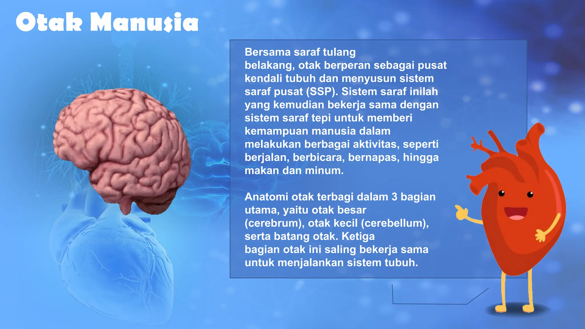 PENGENALAN ANATOMY MANUSIA ANIMASI_.pptx