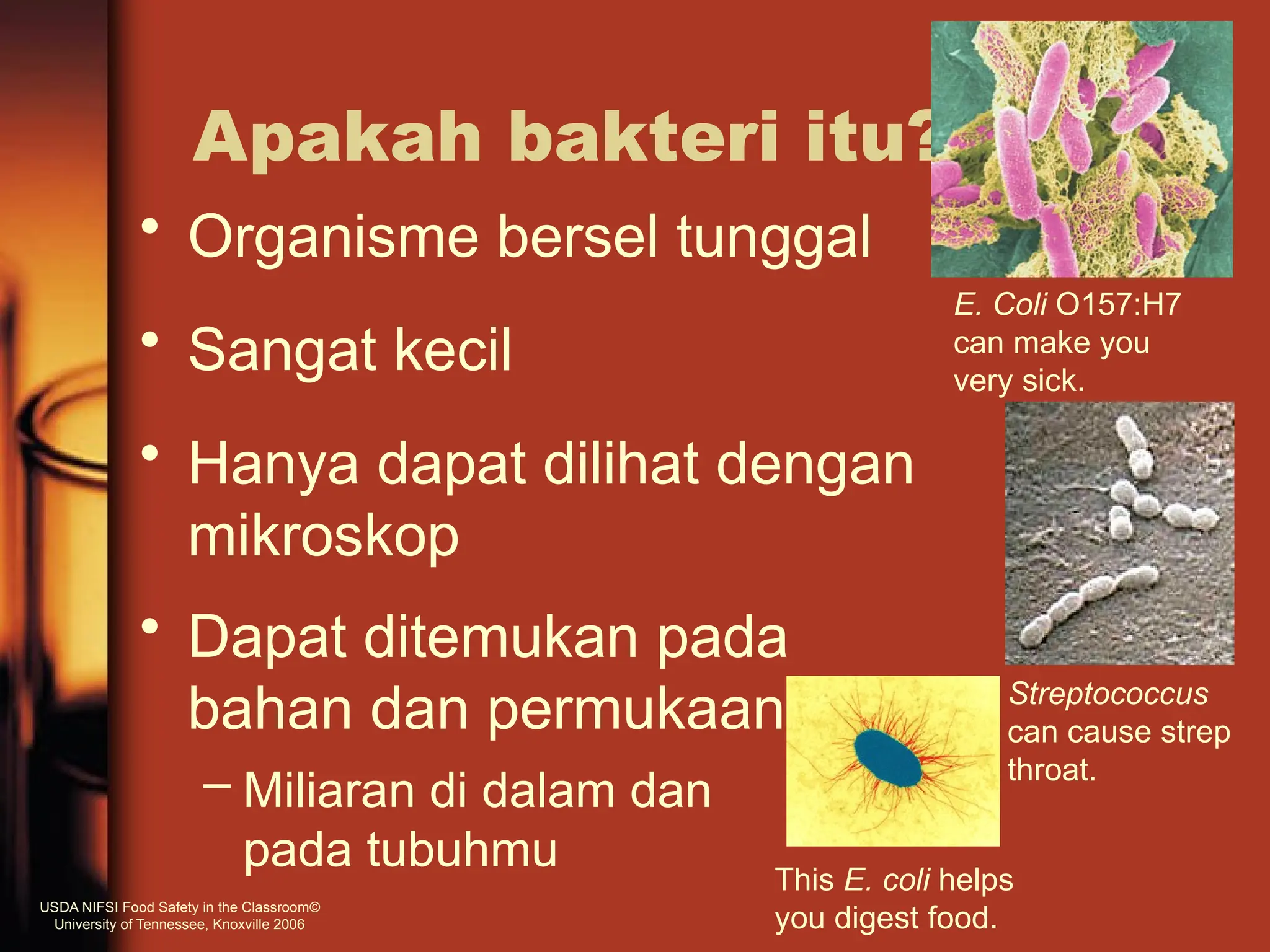 Introducing to bacteria_Pengenalan Bakteri.pptx