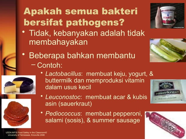 Introducing to bacteria_Pengenalan Bakteri.pptx