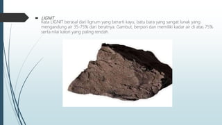 Pengenalan batu bara by ibnul sahgianto | PPTX