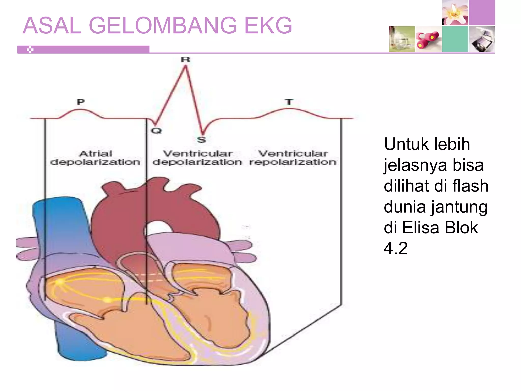 Pengenalan ekg dasar | PPTX