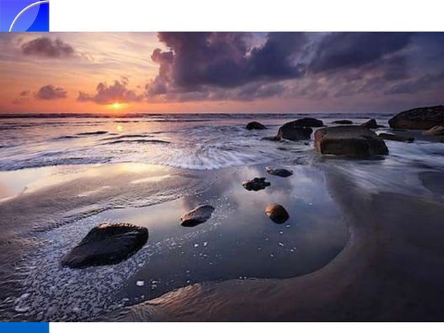 Pengenalan Fotografi (3) Jenis-Jenis Fotografi - SMK NU Balikpapan | PPTX