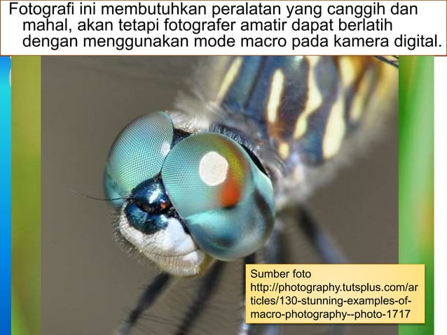 Pengenalan Fotografi (3) Jenis-Jenis Fotografi - SMK NU Balikpapan | PPTX