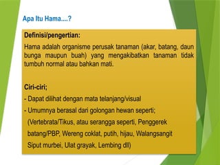 Pengenalan Hama dan MA Tanaman Padi & Jagung.pptx