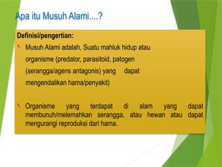 Pengenalan Hama dan MA Tanaman Padi & Jagung.pptx