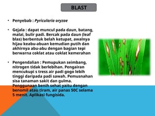 Pengenalan hama Penyakit Pada Tanaman Padi.pptx