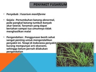 Pengenalan hama Penyakit Pada Tanaman Padi.pptx