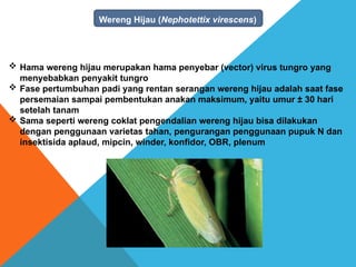 Pengenalan hama Penyakit Pada Tanaman Padi.pptx